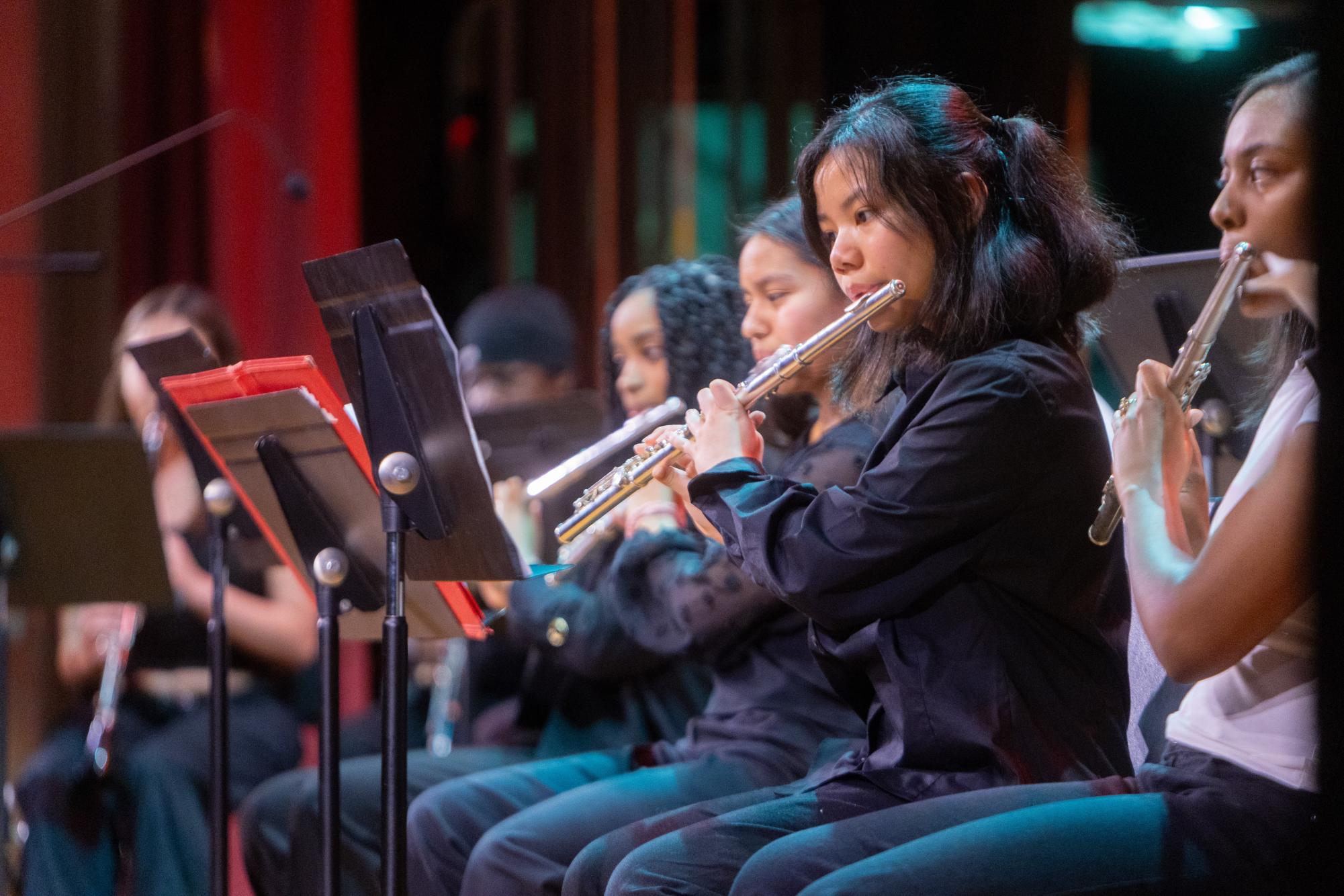 Arts festival highlights talent – The Curtis Log